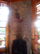 Bearskin Lodge Gatlinburg
